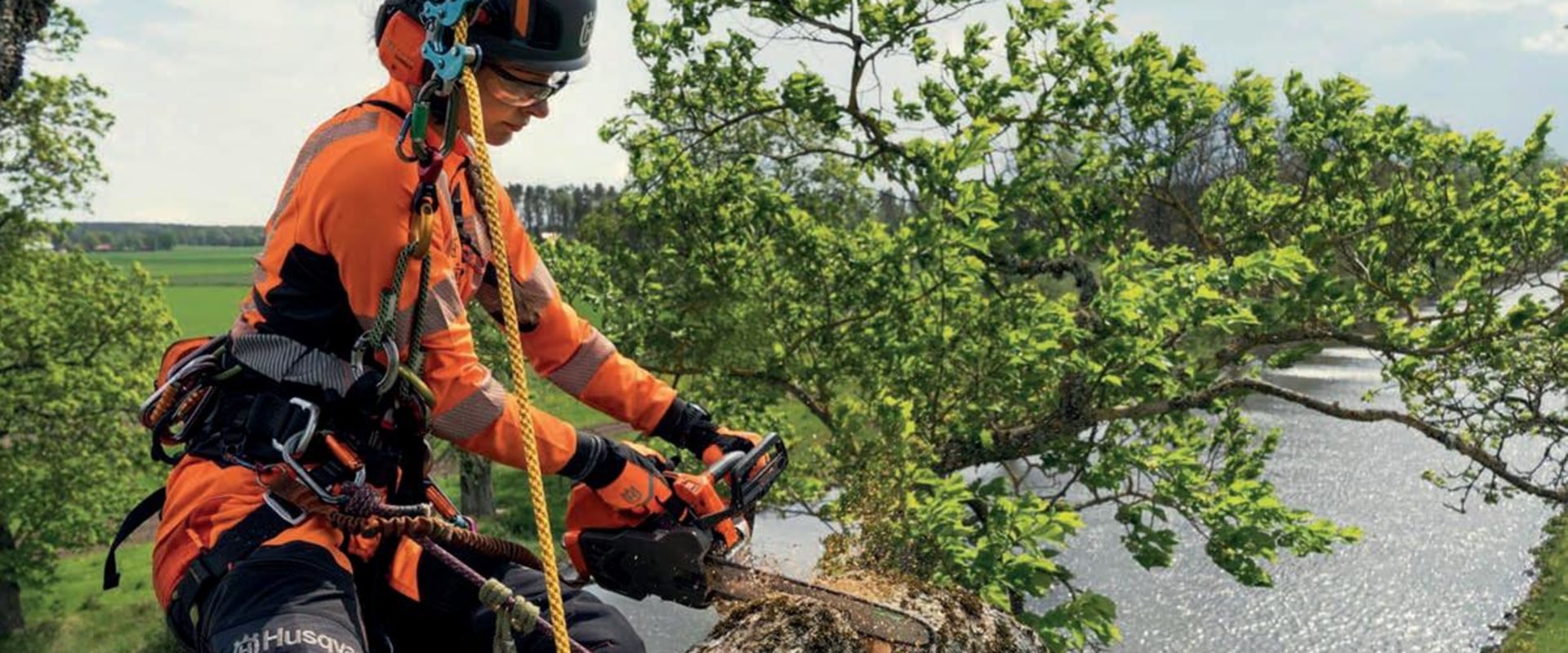 From Demo to Display: Arborist Tools That Steal the Show at Industry Events